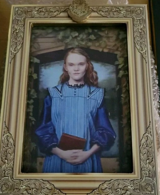 HARRY POTTER ARIANA Dumbledore 2017 Loot Crate Secret Storage Keepsake ...