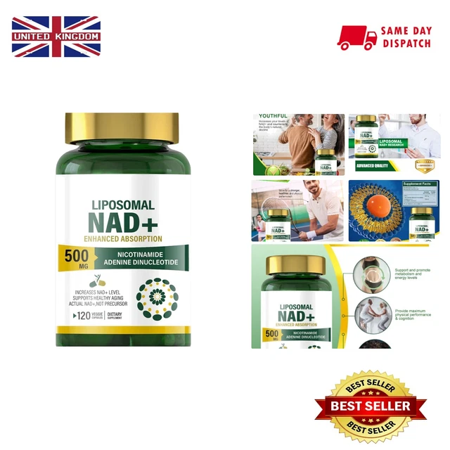 HIGH ABSORPTION NAD+ 500mg Anti-Aging Supplement - 120 Capsules for ...