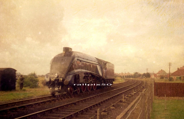 ORIGINAL RAILWAY TRAIN NEGATIVE. Class A4 steam loco Bittern at Filey ...
