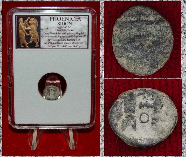 ANCIENT COIN PHOENICIA Sidon Galley King Fighting Lion 1/16 Shekel ...