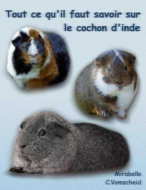 TOUT CE QU'IL Faut Savoir Sur Le Cochon D'inde (Nouvelle ?Dition ...