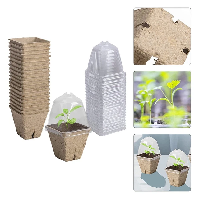 10 PI CES POTS en papier biod gradables avec d?me humide parfaits pour ...