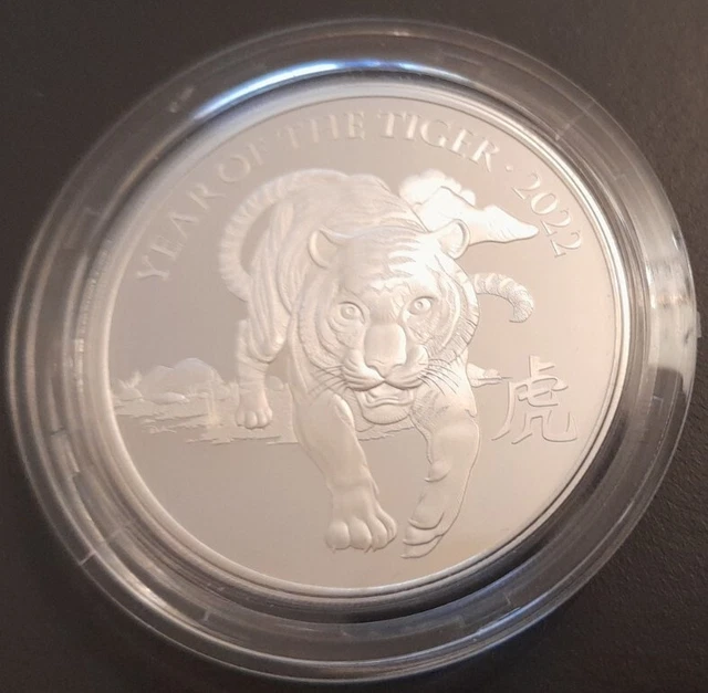 2022 LUNAR YEAR of the Tiger 1oz Silver Proof Coin Limited Edition Coin No:-0465 EUR 238,27 ...