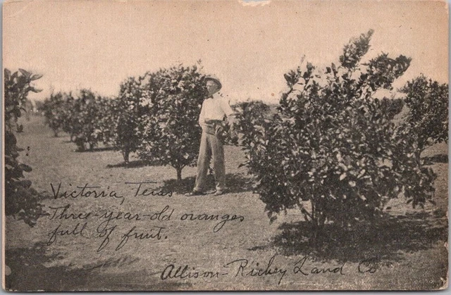 Collectables - PicClick UK