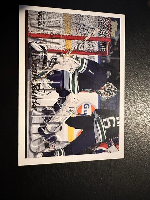 WHALERS SEAN BURKE 1995 Topps 135 EUR 3,30 - PicClick FR