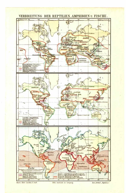 ANTIQUE MAP. THE WORLD MAP OF DISTRIBUTION OF FISHES AMPHIBIANS ...