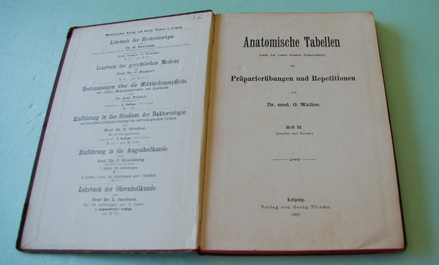 !! WALTER ANATOMISCHE Tabellen Teil 2 von 1901 !! EUR 9,99 - PicClick DE