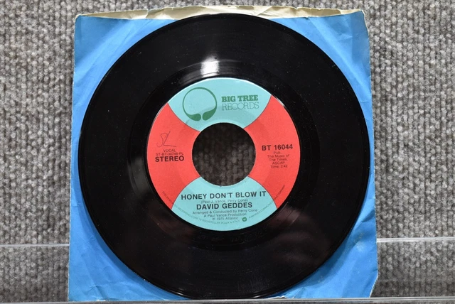 DAVID GEDDES RUN Joey Run Big Tree Records 7" 1975 EUR 5,52 - PicClick FR