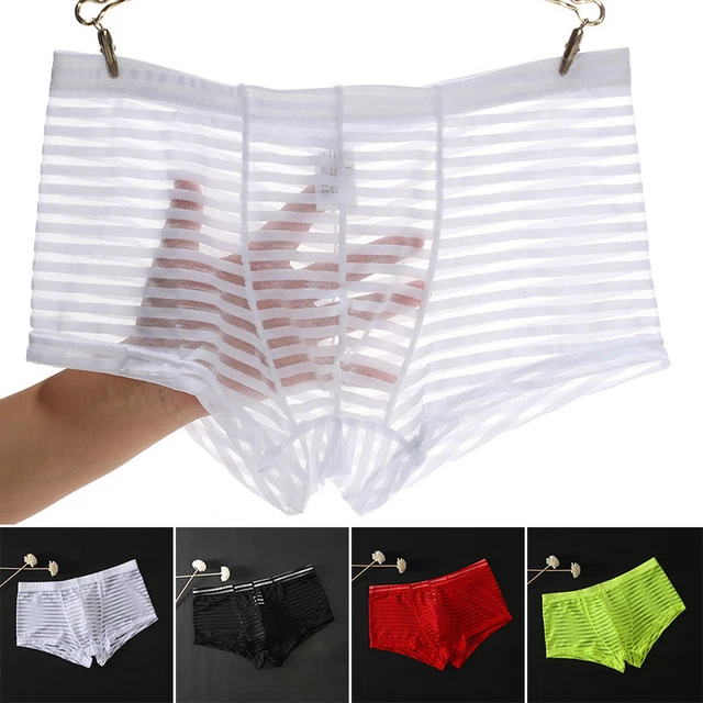 SEXY MEN SHEER See Through Boxer Briefs Mesh Underwear Shorts Trunks ...