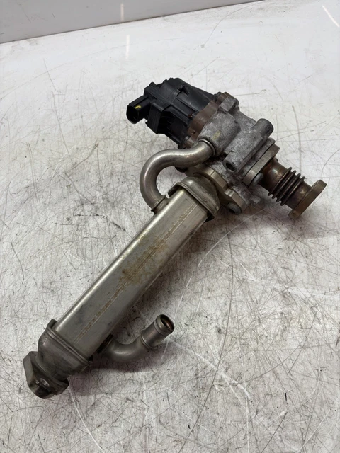 EXHAUST GAS COOLER For Fiat Ducato 250 2.3 130 Multijet D F1AE3481D ...