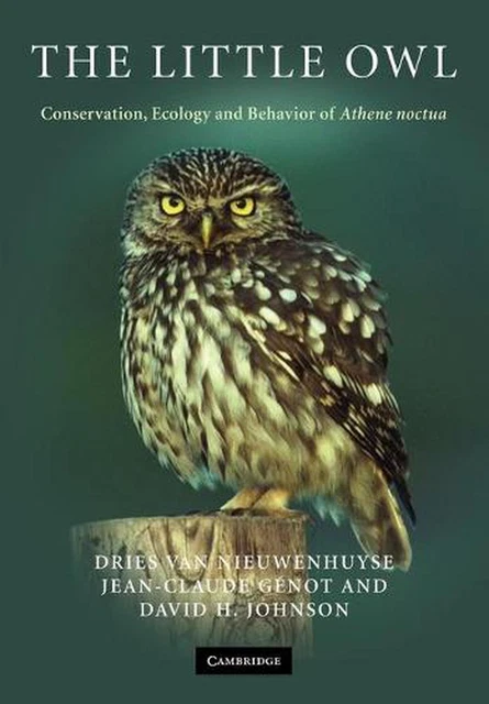 PETIT HIBOU : conservation, écologie et comportement d'Athéna Noctua ...