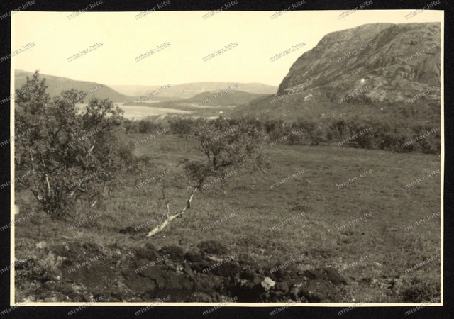 GEBIRGS-JÄGER-PIONIER BTL.82-KORPS-LAPPLAND-MURMANSK-TITOWKA-TUNDRA ...
