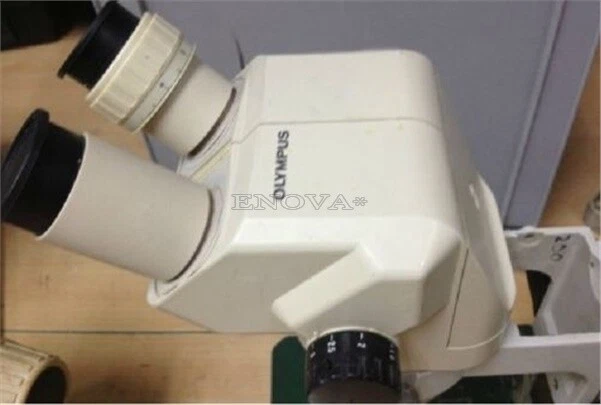 OLYMPUS SZ40 SZ4045 Microscope W/Video Port & Led Light wl EUR 442,58 ...