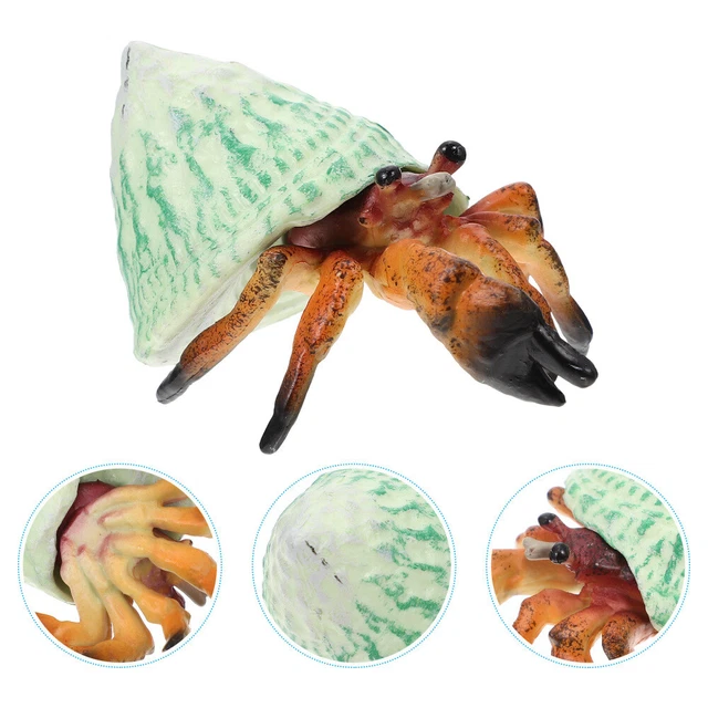 SEA ANIMALS MODELS Under The Sea Life Figure Sea Creature Display ...