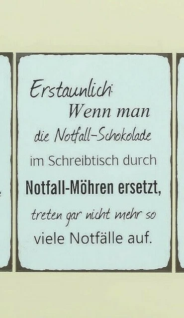 SCHILD HÄNGESCHILD METALL Metallschild weiß Spruch Sprüche Notfall ...