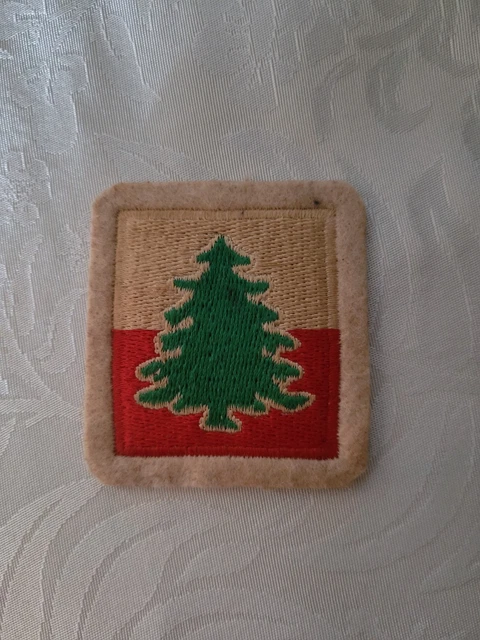 ORIGINAL EXILED WW2 Polish Poland Army 3Rd Cartpathian Rifles Patch ...