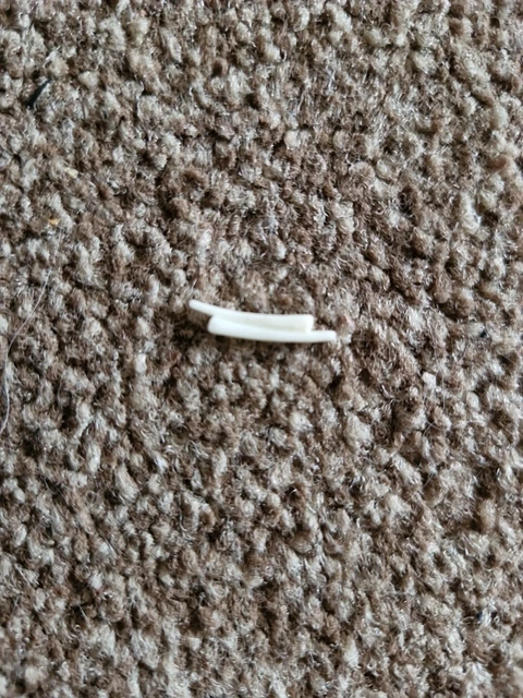 ORIGINAL OPERATION SPARE Parts Spare Ribs 1975 Version EUR 2,36 ...