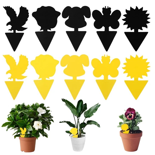 FLIES TRAP BOARD Insect Sticker Control Pest Control Sticky Insect ...