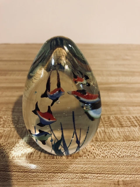 ART GLASS PAPERWEIGHT Clear Egg Shape Aquatic Sea Marine Fish Ocean ...