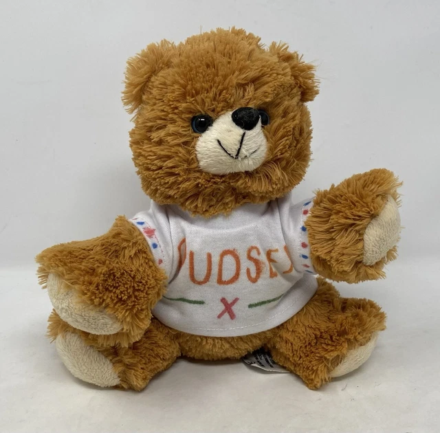 BEAR FACTORY SOFT Toys Plush Teddy Stuffed 2001 Brown Pudsey Brownies ...