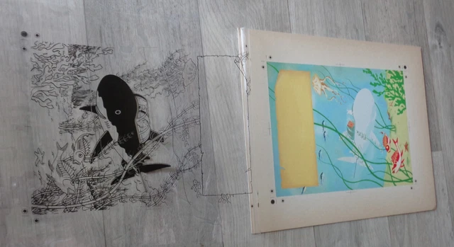 PLANCHE TINTIN MISE en couleur celluloid Rackham le rouge format ...