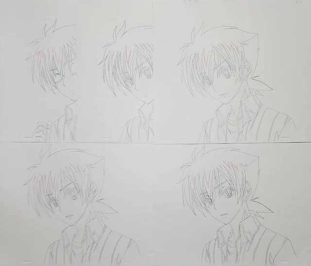 HIGH SCHOOL DXD Animation Production Cel Drawing Anime: 5 Sheets - 4106 ...