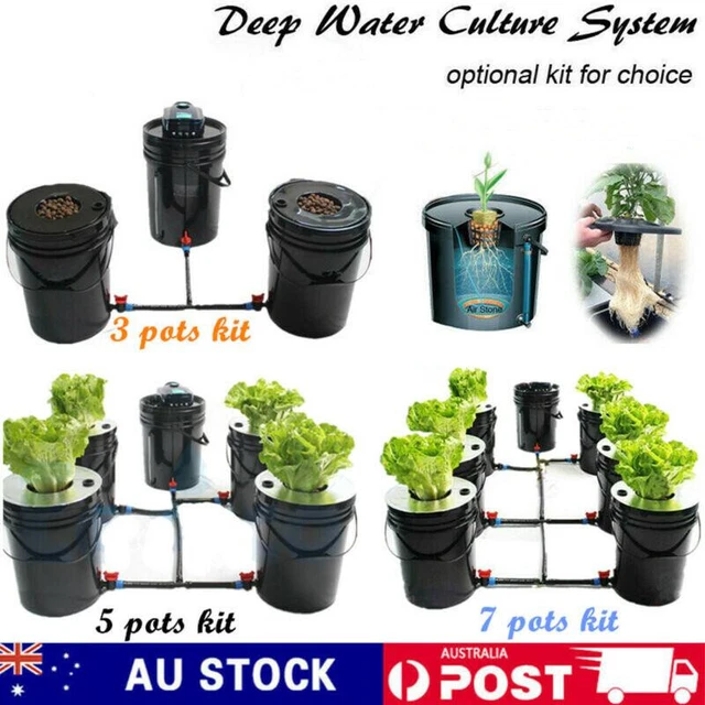 HYDROPONICS DEEP WATER Culture DWC System Bubble Bucket Plant Fast Grow Kits $69.00 - PicClick AU