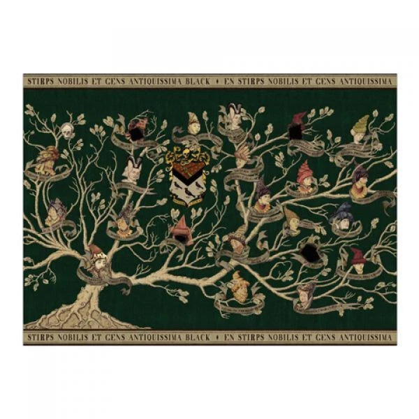 HARRY POTTER - Poster - Family Black Wallpaper (50 x 69 cm) £21.23 ...