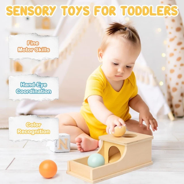 TOY LIFE OBJECT Permanence Box with Tray and 3 Balls Montesorri Toys 6 ...