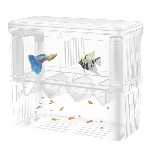 AQUARIUM FISH BREEDING Box Shrimp Hatchery Fish Tank Isolation ...