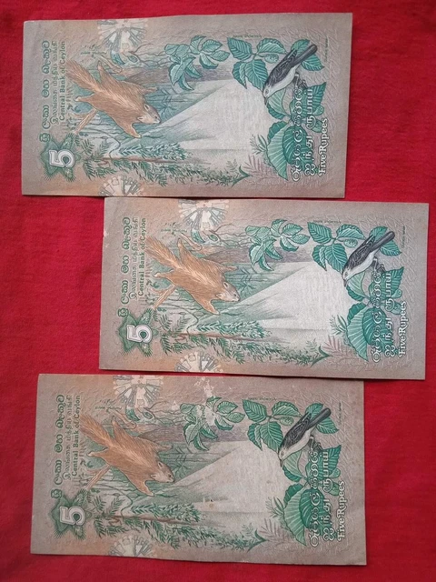 RARE SRI LANKAN 5 Rupees Old Bank Notes - Collector's Gem! £48.38 ...