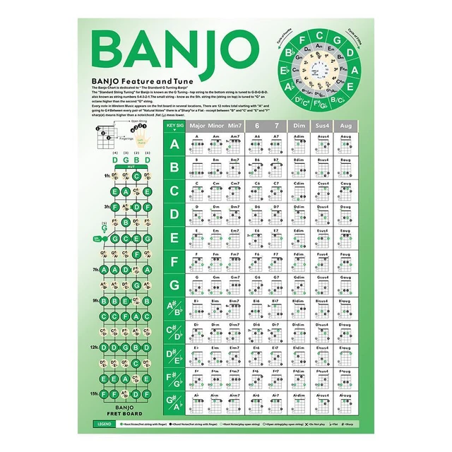 LAMINATED TENOR BANJO Chord Chart Poster Easy Chords Beginner 8.5x11 ...