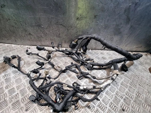 FORD TRANSIT CUSTOM Engine Wiring Loom Gk2T-12B637 2.0L Man Dsl Panel ...