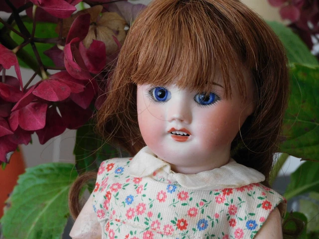 POUPÉE ANCIENNE BLEUETTE tête biscuit, marquée SFBJ 60 PARIS 8/0 - 27 ...