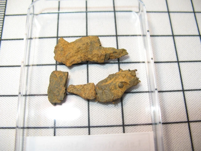 LAKE MURRAY IIAB Meteorite Oldest Known Meteorite Fell in Cretaceous 1 ...