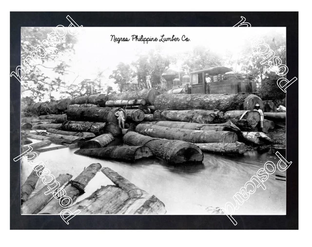 HISTORIC NEGROS PHILIPPINE Lumber Co. Logging Postcard $6.00 - PicClick AU