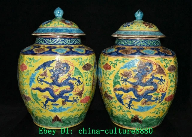DAMING JIAJING FAHUA dragon en porcelaine colorée Feng pot Crock paire ...