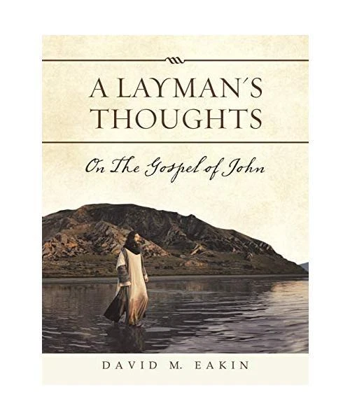 A LAYMAN'S THOUGHTS: On the Gospel of John, David M. Eakin EUR 20,61 ...