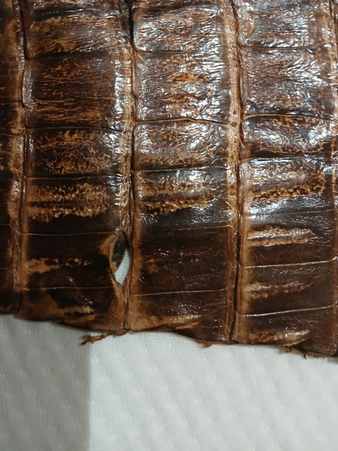 VÉRITABLE CUIR DE crocodile bon état général EUR 123,00 - PicClick FR