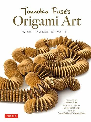 TOMOKO FUSIBLE ORIGAMI Art: Works par A Moderne Master David Brill ...