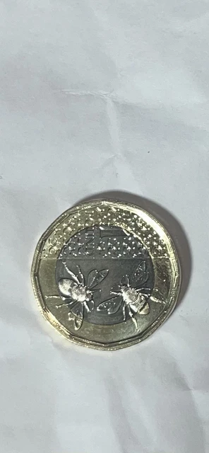 RAREST UK COIN- Prince Charles III 2025 Bee Pound Coin £10,086.70 ...