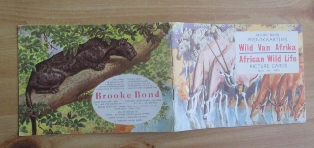 BROOKE BOND (SOUTH Africa) Tea Cards Album: Wild Van Afrika. (Empty ...