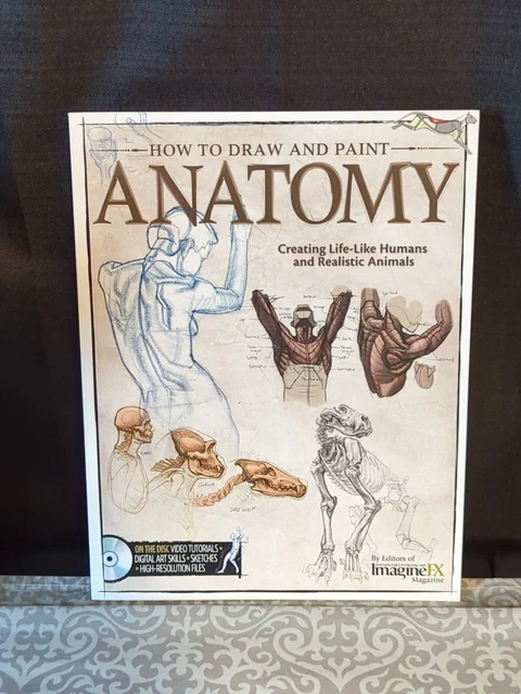 HOW TO DRAW and Paint Anatomy: Creating Life-Like Humans and Realistic ...