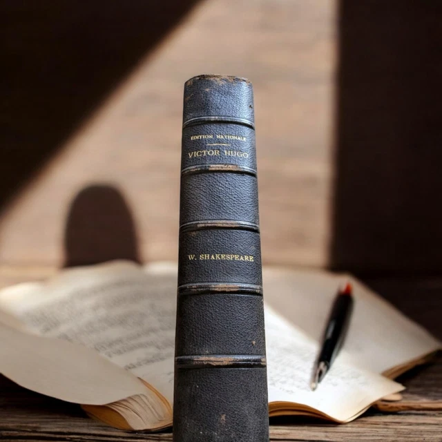 LIVRE BOOK - Édition Nationale Victor Hugo - Tirage Limité - William ...