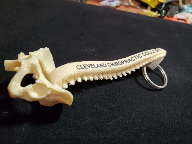 SPINE PELVIS CLEVLAND CHIROPRACTIC CLINIC Keychains 4 1/2" with Key ...