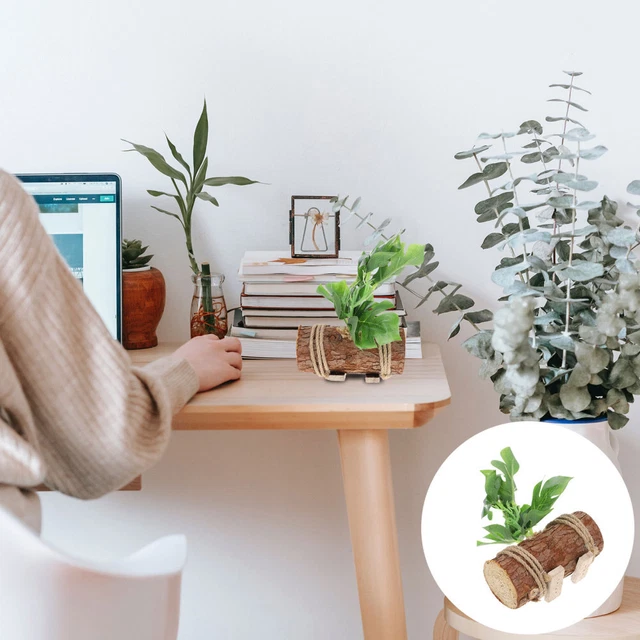 PIANTE FALSE CASA Bonsai Pianta Artistica Piante Artigianali Scrivania ...