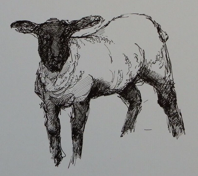 ORIGINAL SIGNED SMALL pen & ink drawing sheep back view on paper £19.99 ...