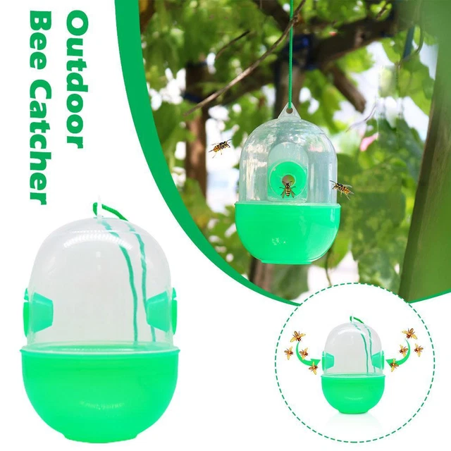 EFFECTIVE WASP TRAP Kill Pest Fruit Fly Killer Reject Catcher Hornet G ...