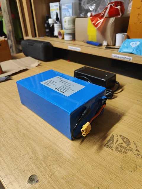 E-BIKE BATTERIE E-SCOOTER Akku 48V 20Ah mit Ladegerät Roller XT60 48v Ah Neu EUR 199,99 ...