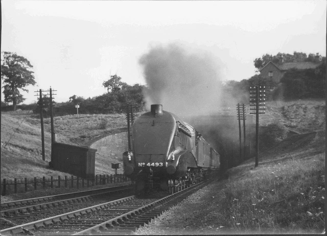 LNER A4 CLASS 4-6-2 LOCO No 4493 WOODCOCK BR No 60029 6x4 LNER OFFICIAL ...